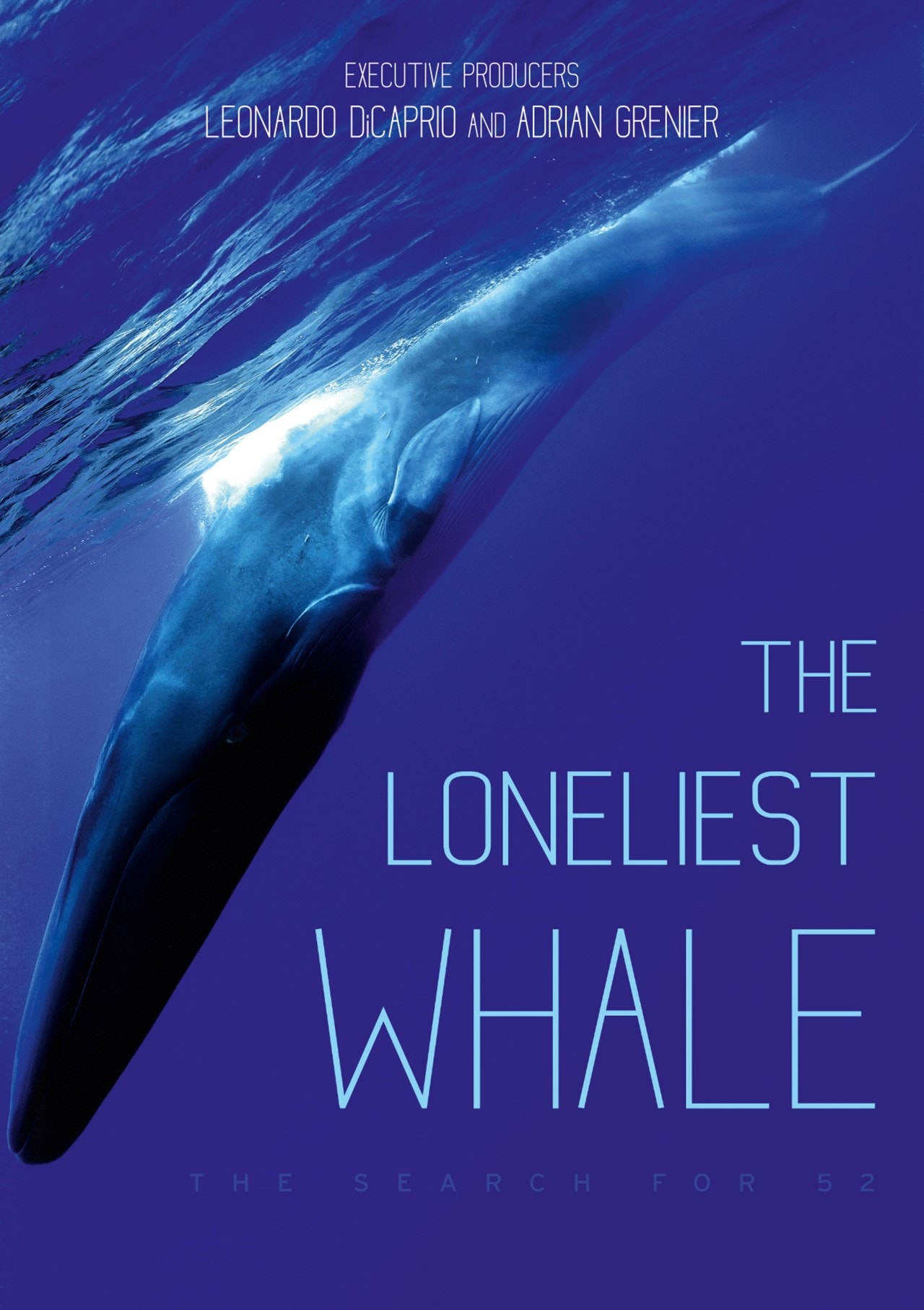 The Loneliest Whale - The Search for 52 | DVD | Free shipping over £20 ...