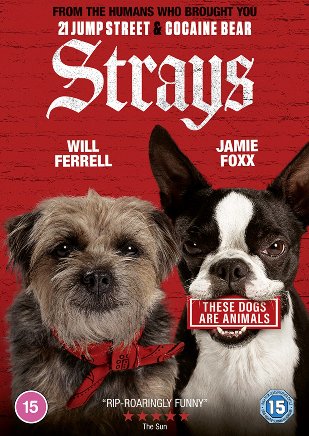 Strays | HMV Store