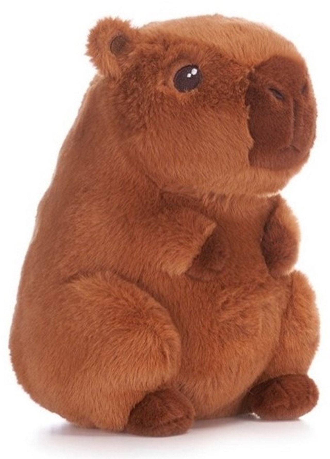 Capybara Plush Assortment | Plush | Free shipping over £20 | HMV Store