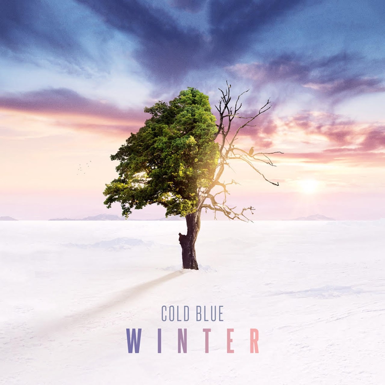 Winter | CD Album | Free shipping over £20 | HMV Store