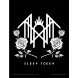 Logo Sleep Token 30cm x 40cm Framed Print | Wall Art | Free shipping ...