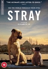 Stray | HMV Store