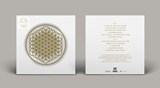 Sempiternal (10th Anniversary Picture Disk) | Vinyl 12" Album | Free ...