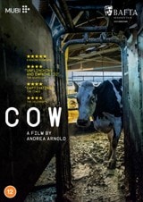 Cow | DVD | Free shipping over £20 | HMV Store