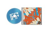 Fickle Friends | HMV Store