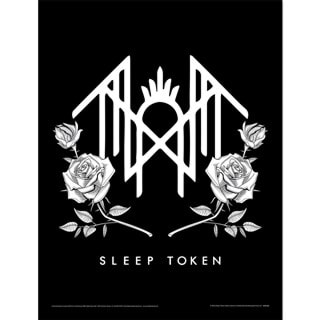 Logo Sleep Token 30cm x 40cm Framed Print | Wall Art | Free shipping ...