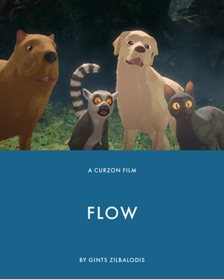 Flow | HMV Store