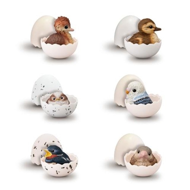 Baby Birds Tenori Friends Shokugan Blind Box | HMV Store
