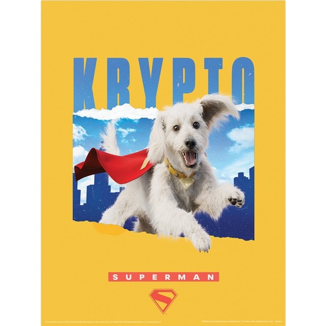 Krypto Superman 30cm x 40cm Print | HMV Store