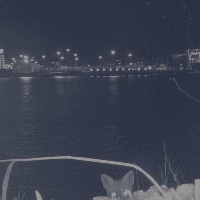Fuchs | Vinyl 12" Album | Free shipping over £20 | HMV Store