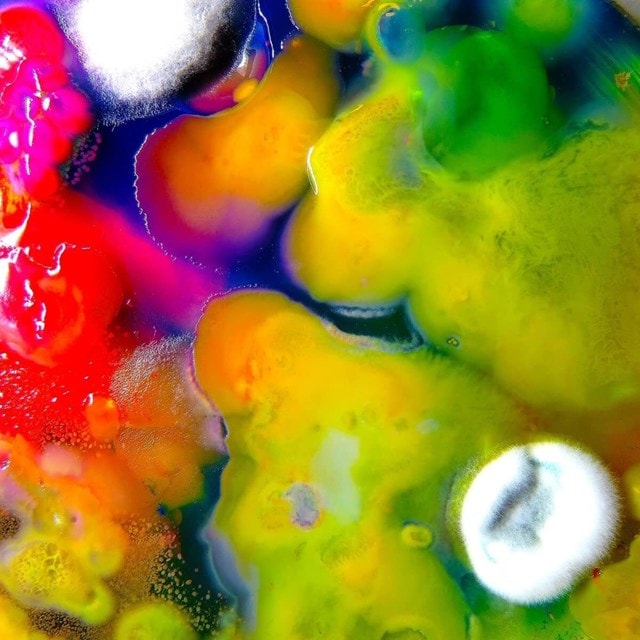 Famously Alive | Cassette Tape | Free shipping over £20 | HMV Store