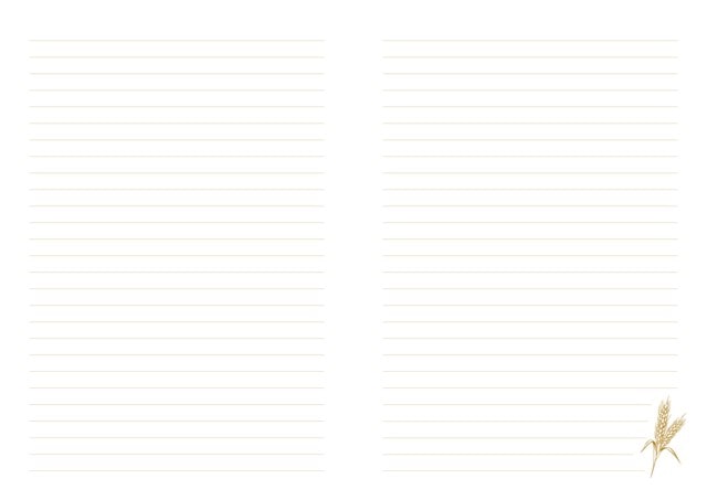 Wicked Notebook Collection | HMV Store