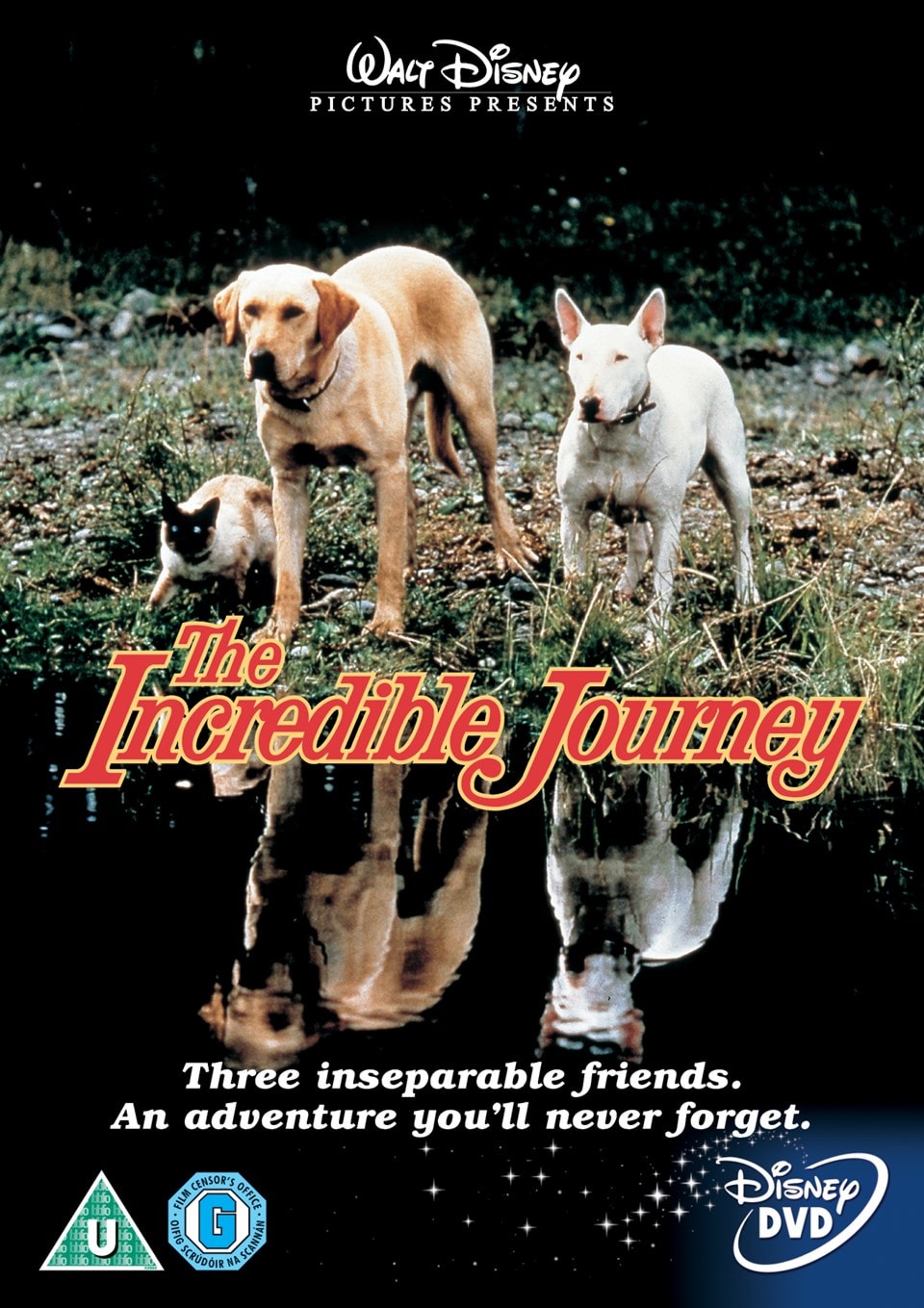 The Incredible Journey | DVD | Free shipping over £20 | HMV Store