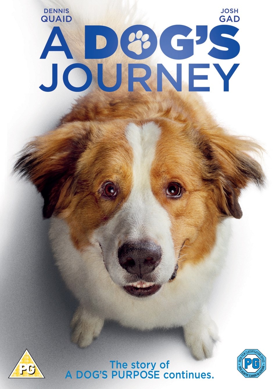 A Dog's Journey | A Dog's Journey DVD | A Dog's Journey Movie | HMV Store